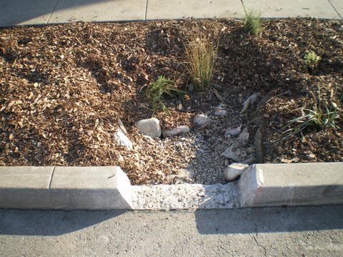 Ventura River Ecosystem: Ventura Curb Cut