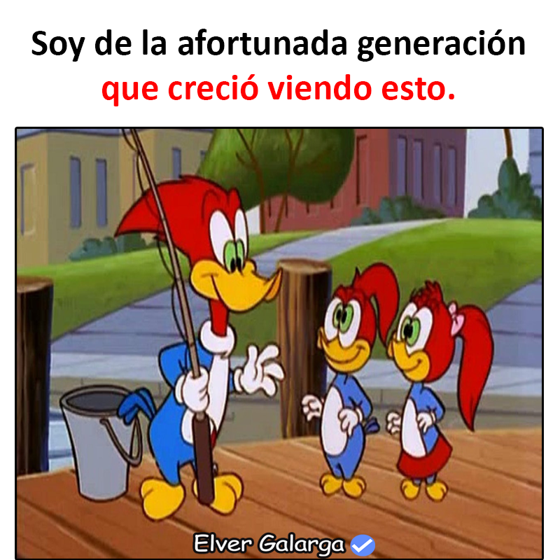 Nuevos Memes: El pájaro loco