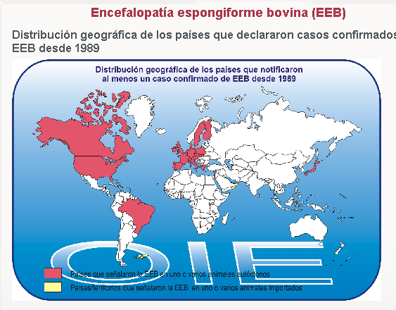 TEMBLADERA o SCRAPIE