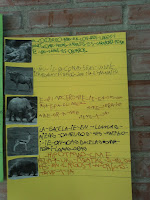 ESOS LOCOS PEQUEÑITOS: Proyecto Animales