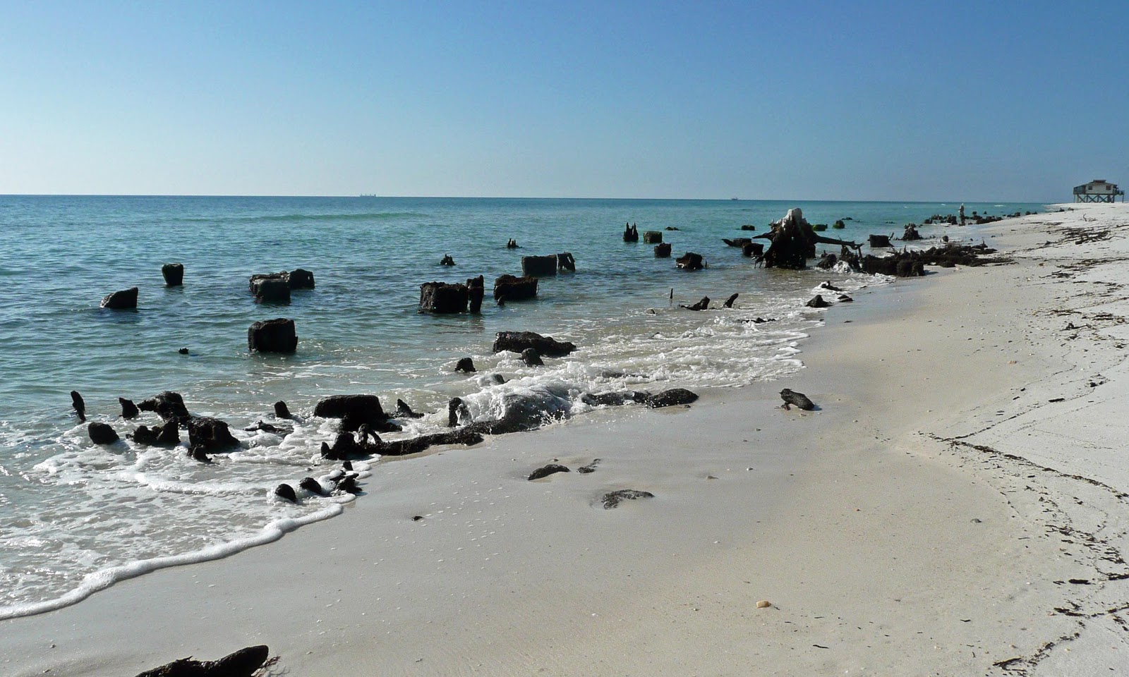 Last Dance: Florida Panhandle - Shell Island