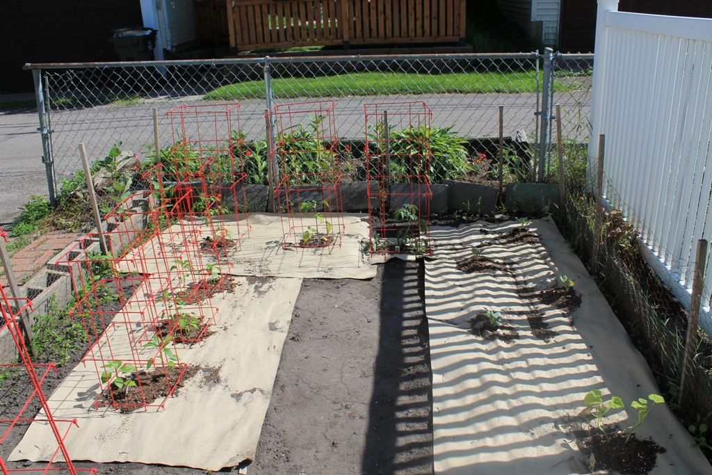 Snippets: Grow, garden, grow!