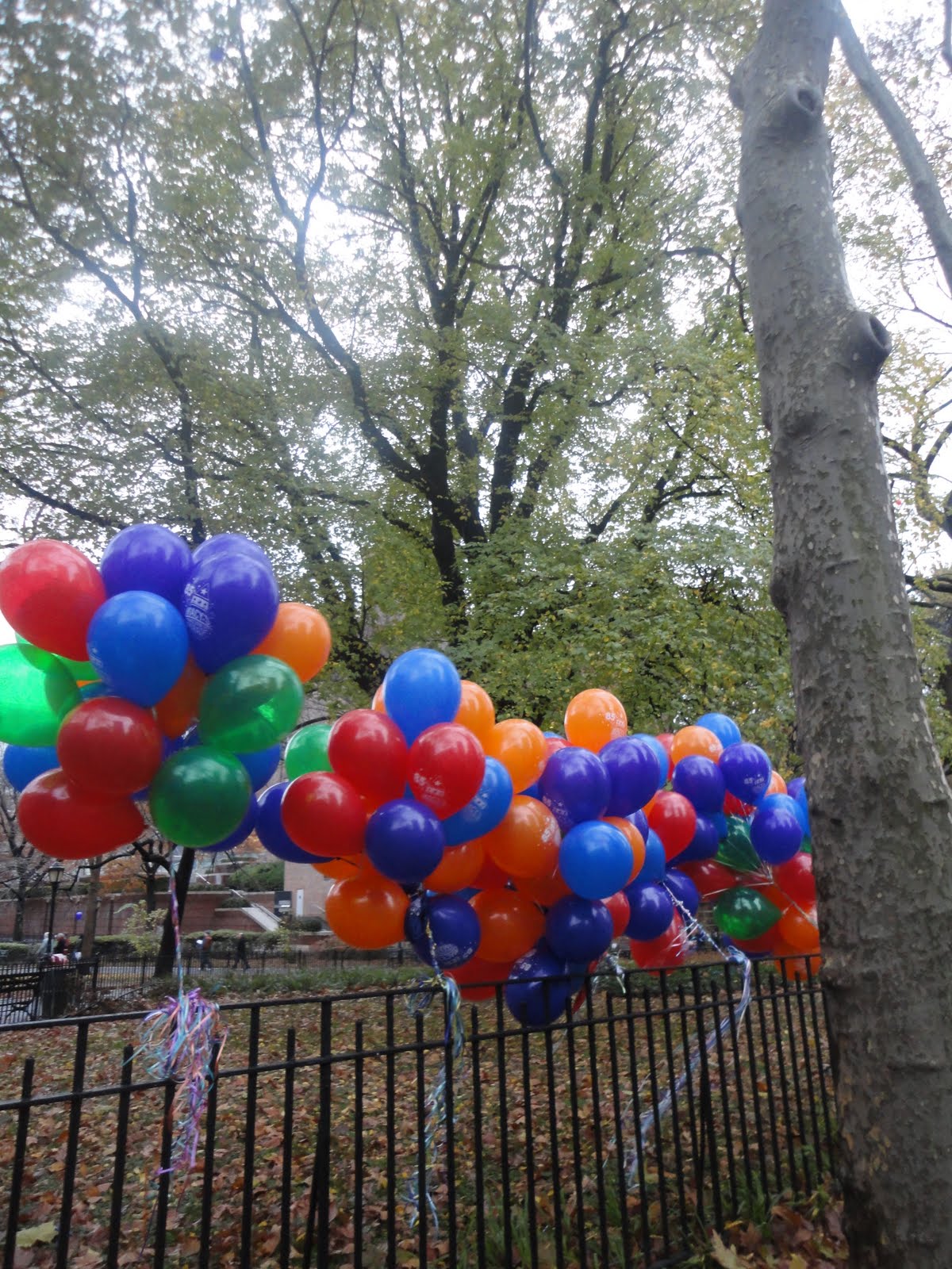 Girl Scout Balloons at Hayley Pell blog