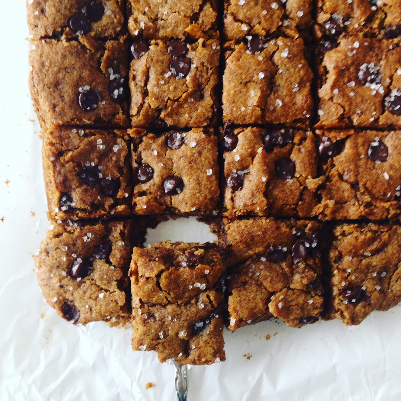 Hope For Healing: Chocolate Chip Date Cookie Bars