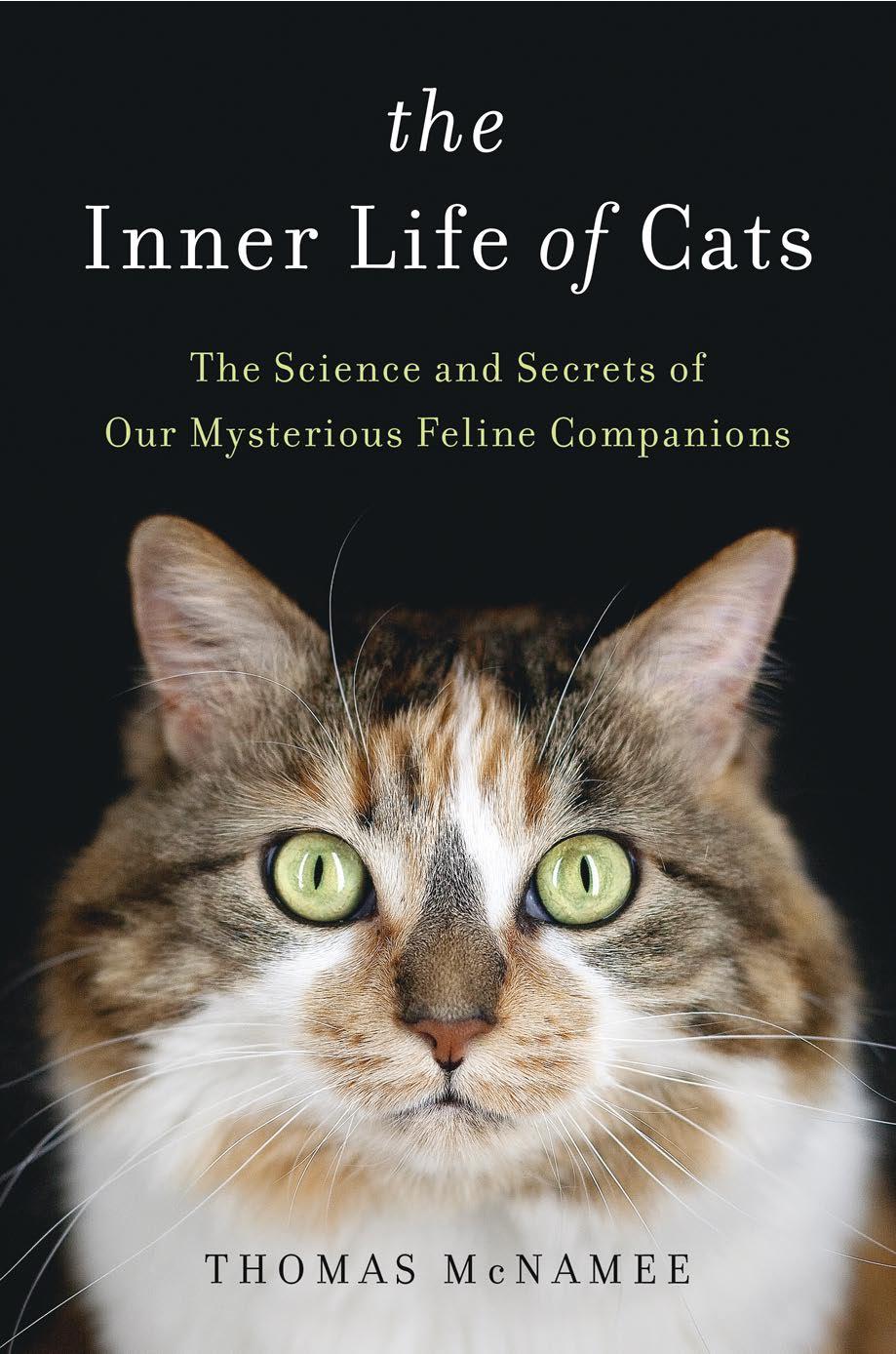 Cat and DOG Chat With Caren: Cat Book Review: "the Inner Life of Cats ...