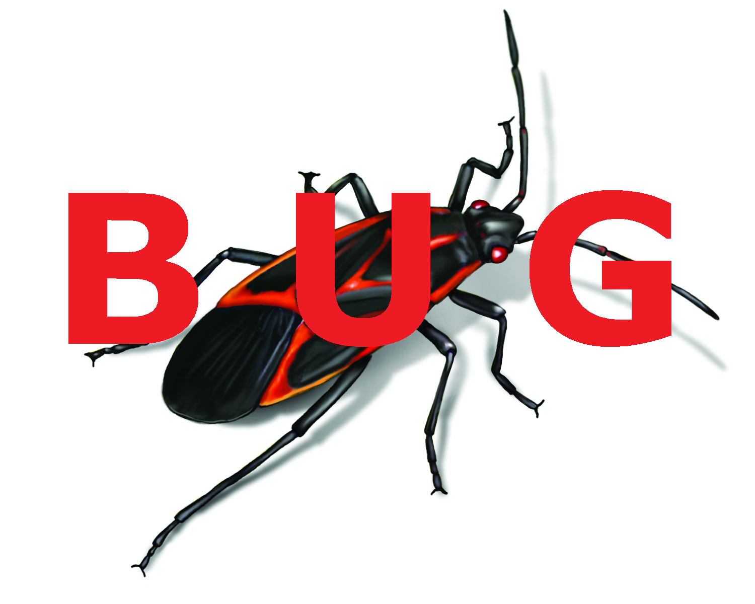 Kens Unified Communications Blog Lync 2013 Edge Server Bug When Adding New Server Pools