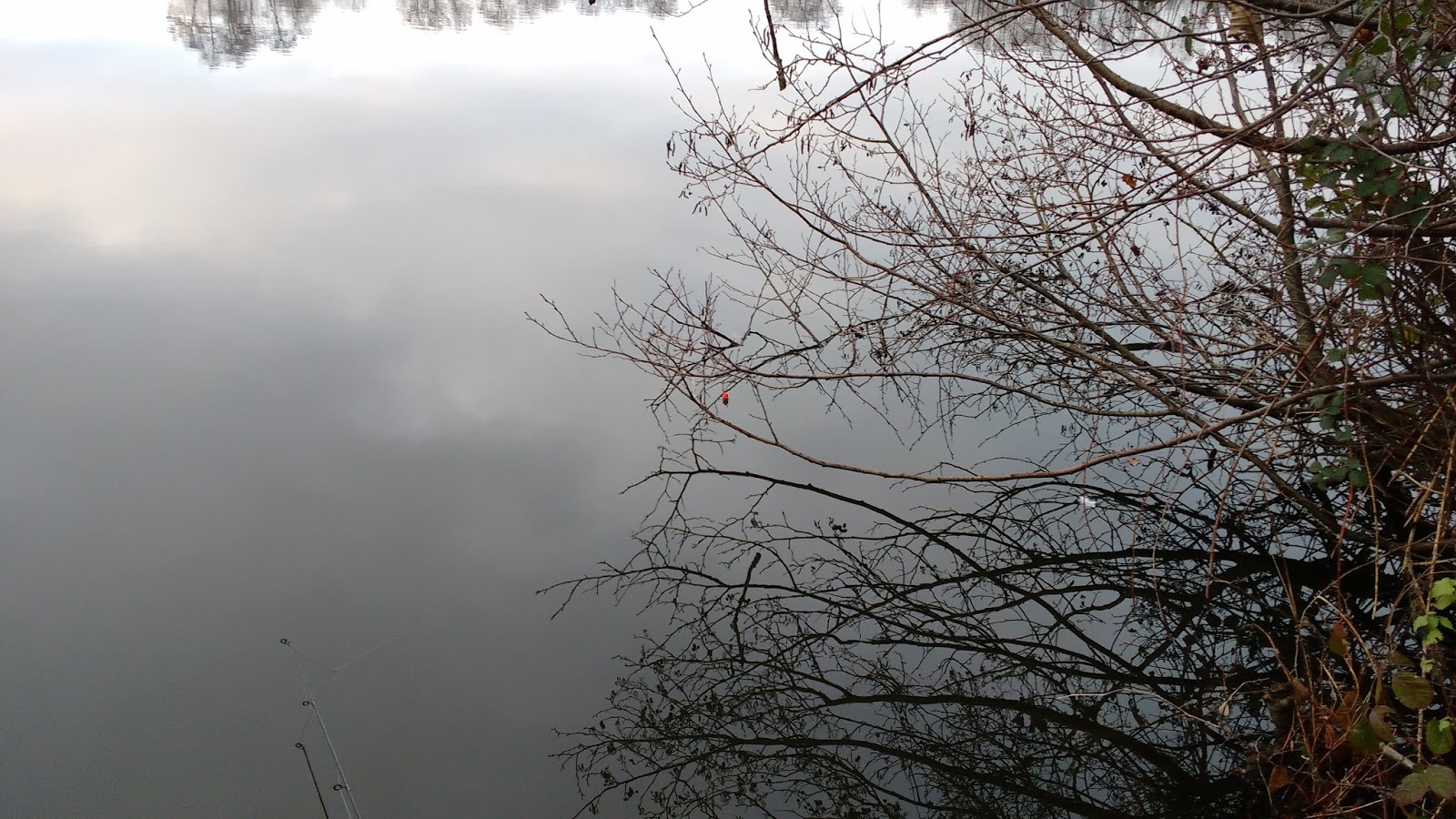 Jorvik Angler: December 2018