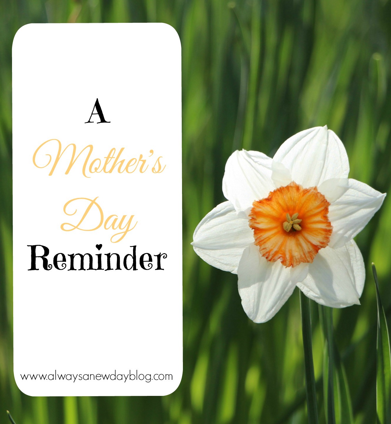 A Mother's Day Reminder