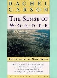 The Sense of Wonder - PLATO - Philosophy Learning and Teaching Organization