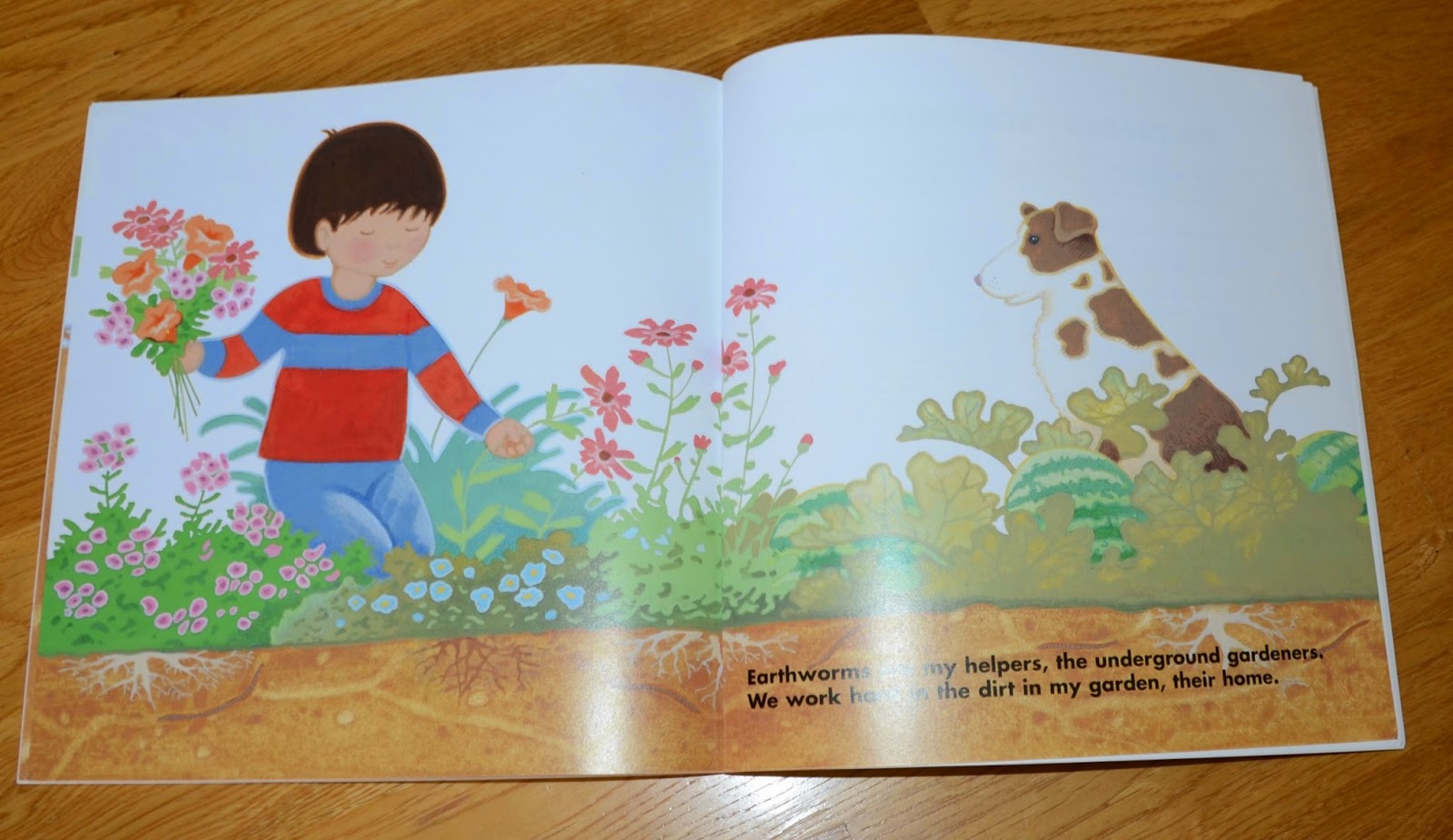 GrowinginPre-K and K: Book Talk Tuesday - Wonderful Worms