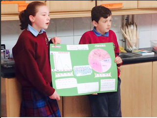 Ms Wards Classroom: Maths: Data Investigation in 6th Class