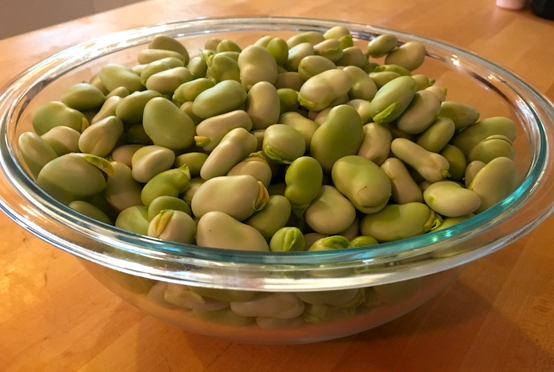 Good Stuff NW: Fava Beans: To Peel, or Not to Peel?