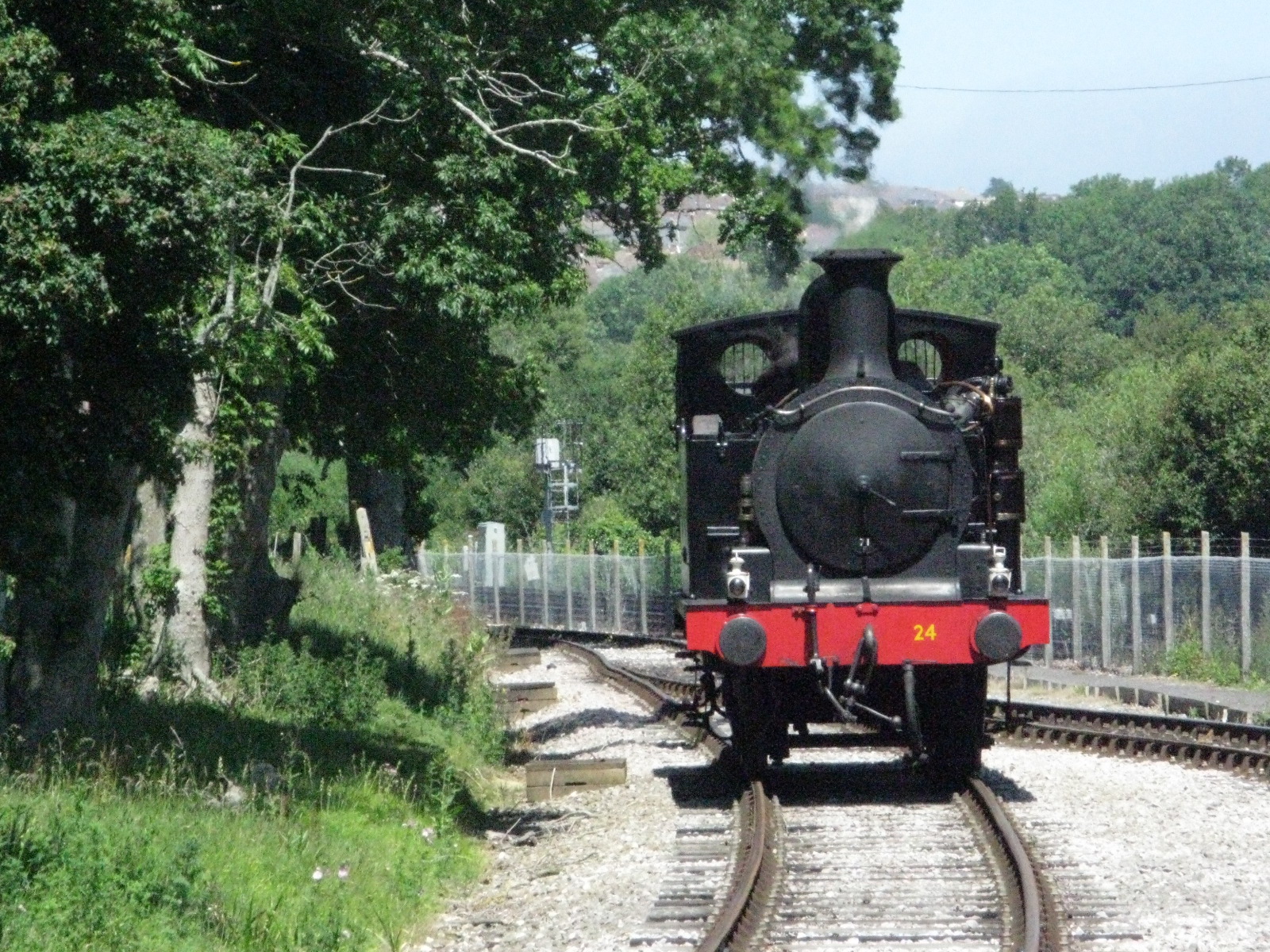 The Quizzical Owl: Isle of Wight Steam Train