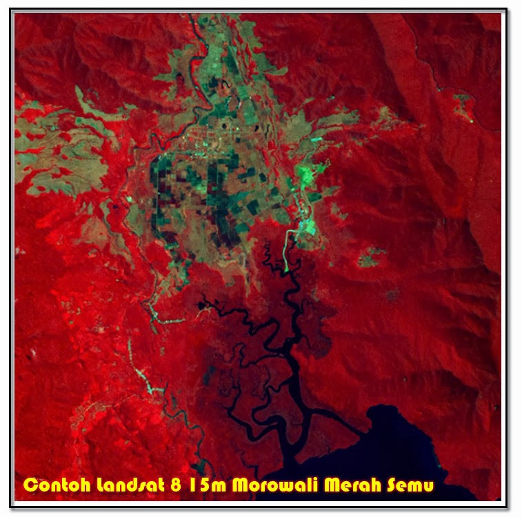 Jual Citra Satelit : Citra Satelit LANDSAT 8