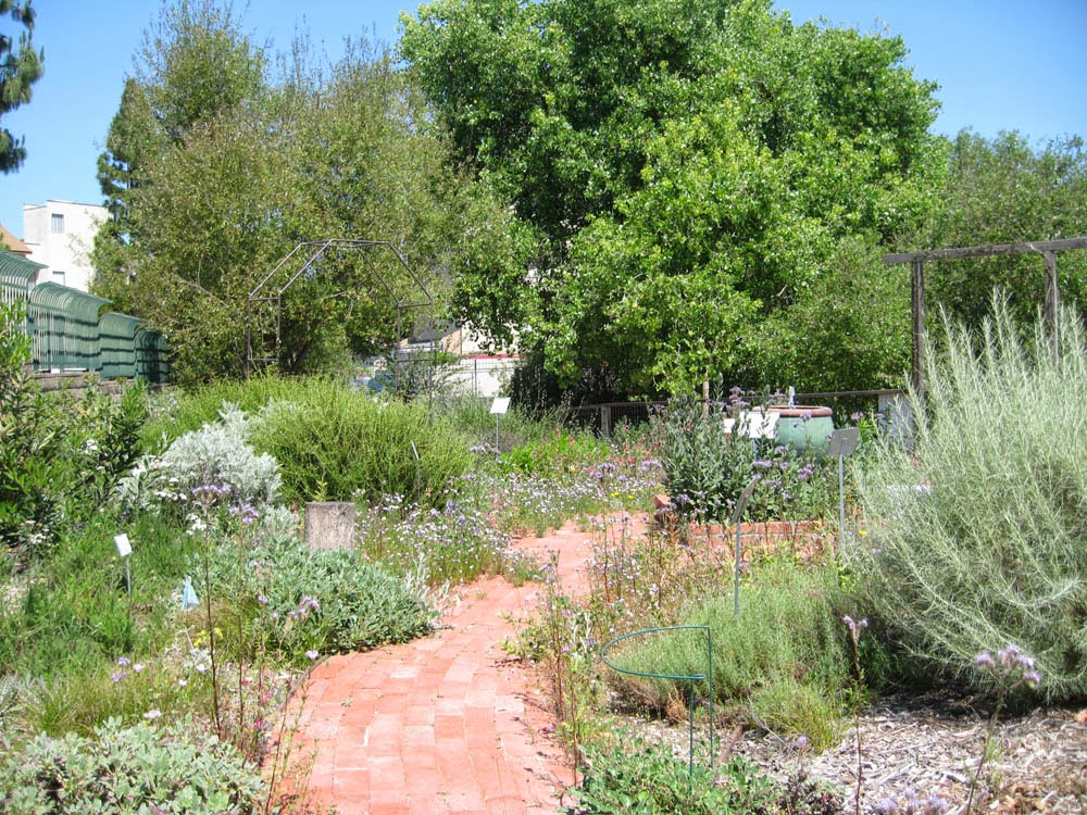 Mother Nature's Backyard - A Water-wise Garden: Mother Nature's ...