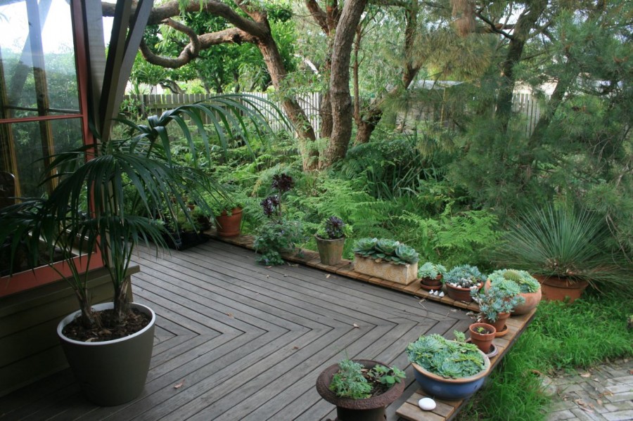 Formosa Design: Bird friendly garden design