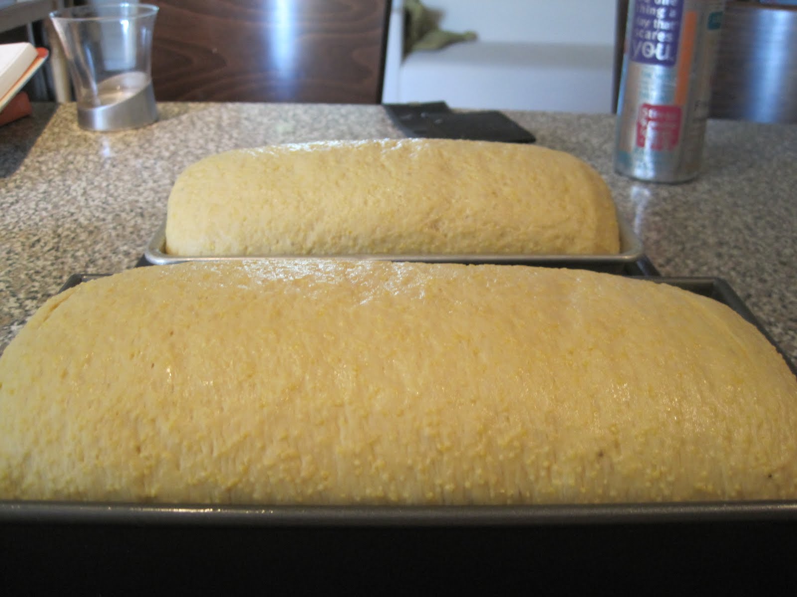 Making Michael Pollan Proud: BBA #1: Anadama Bread