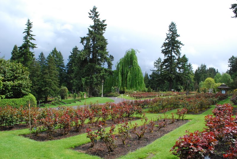 Wanderlust Traveler: Portland, Oregon (Sightseeing)