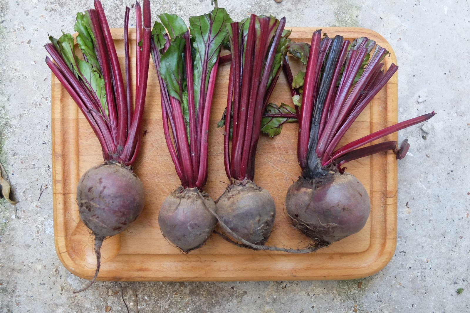 Roasted Beetroot Houmous - Raw Rhubarb - Fit Food and Recipes