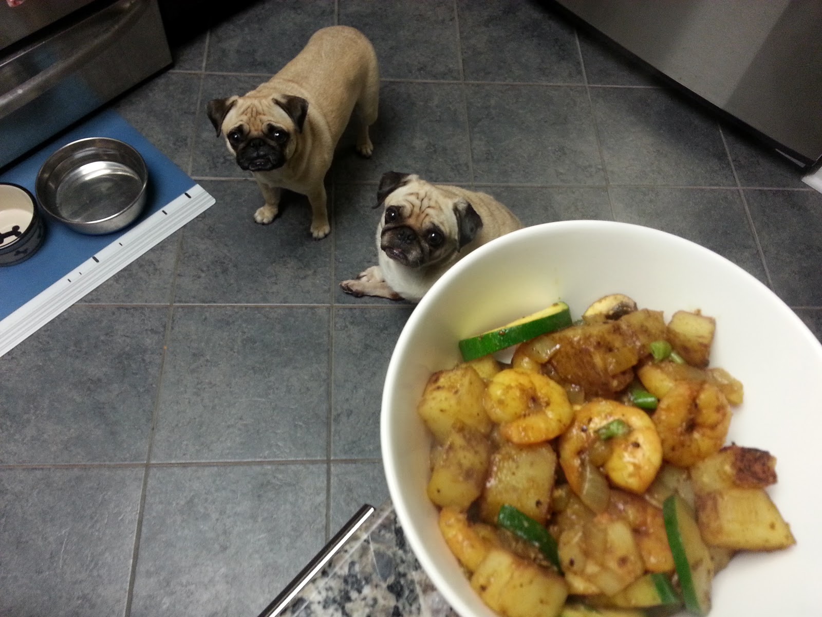 Grubbin' Pugs: Curry Shrimp and Potatoes