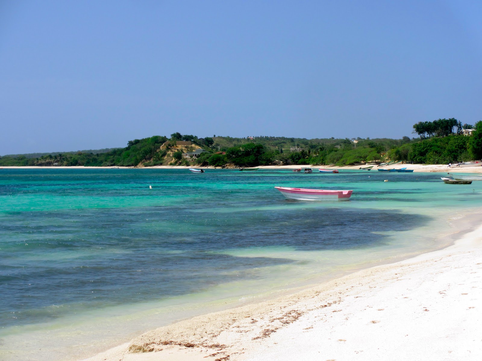 Ritmo del Caribe: Punta Rucia!