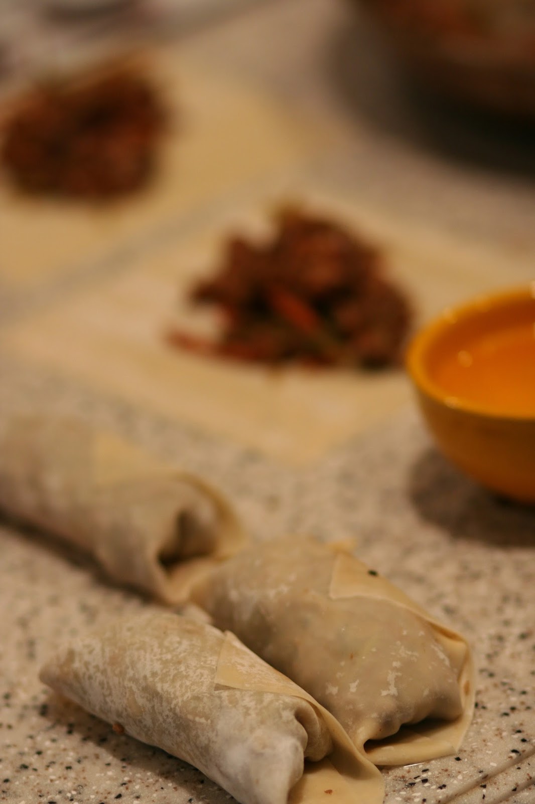 Celeste Cooks: Pan Fried Chicken Eggrolls