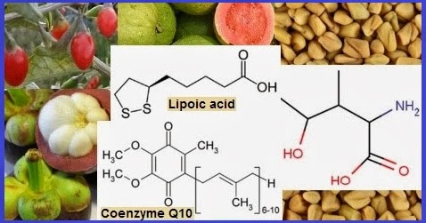 Nutrition & Natural Medicine News: Mito Cocktail eases and prevents ...
