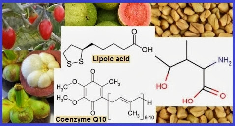 Nutrition & Natural Medicine News: Mito Cocktail eases and prevents ...