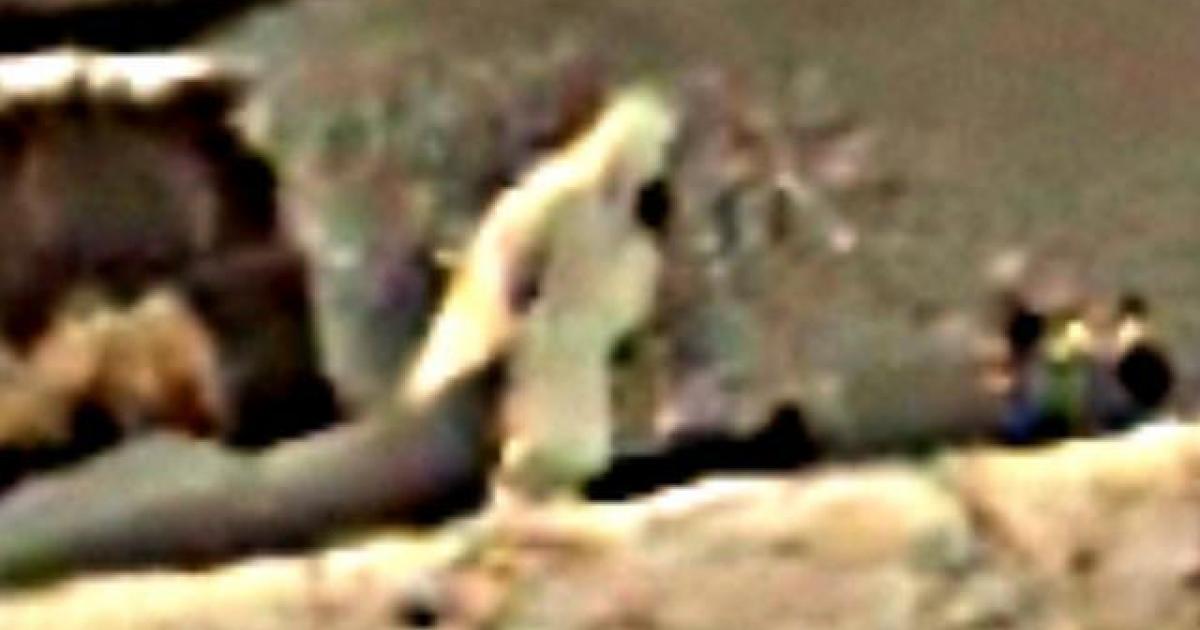 Same Alien On Holiday In Various Places In Our Part Of Space - UFO ...