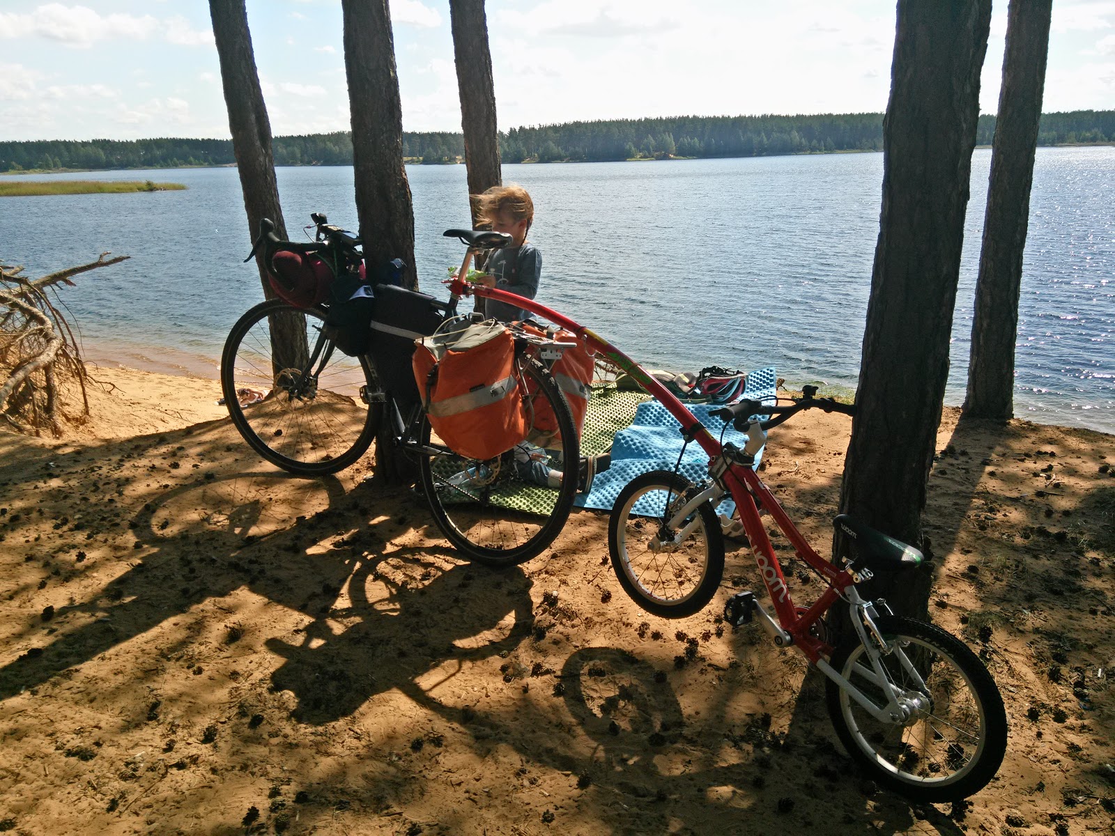 Get in woods!: Обзор тандемной штанги Trail-Gator