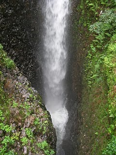 Truly 'I' or Truly 'Me': Amboli ghats - The Nature's Retreat , Shiroda ...
