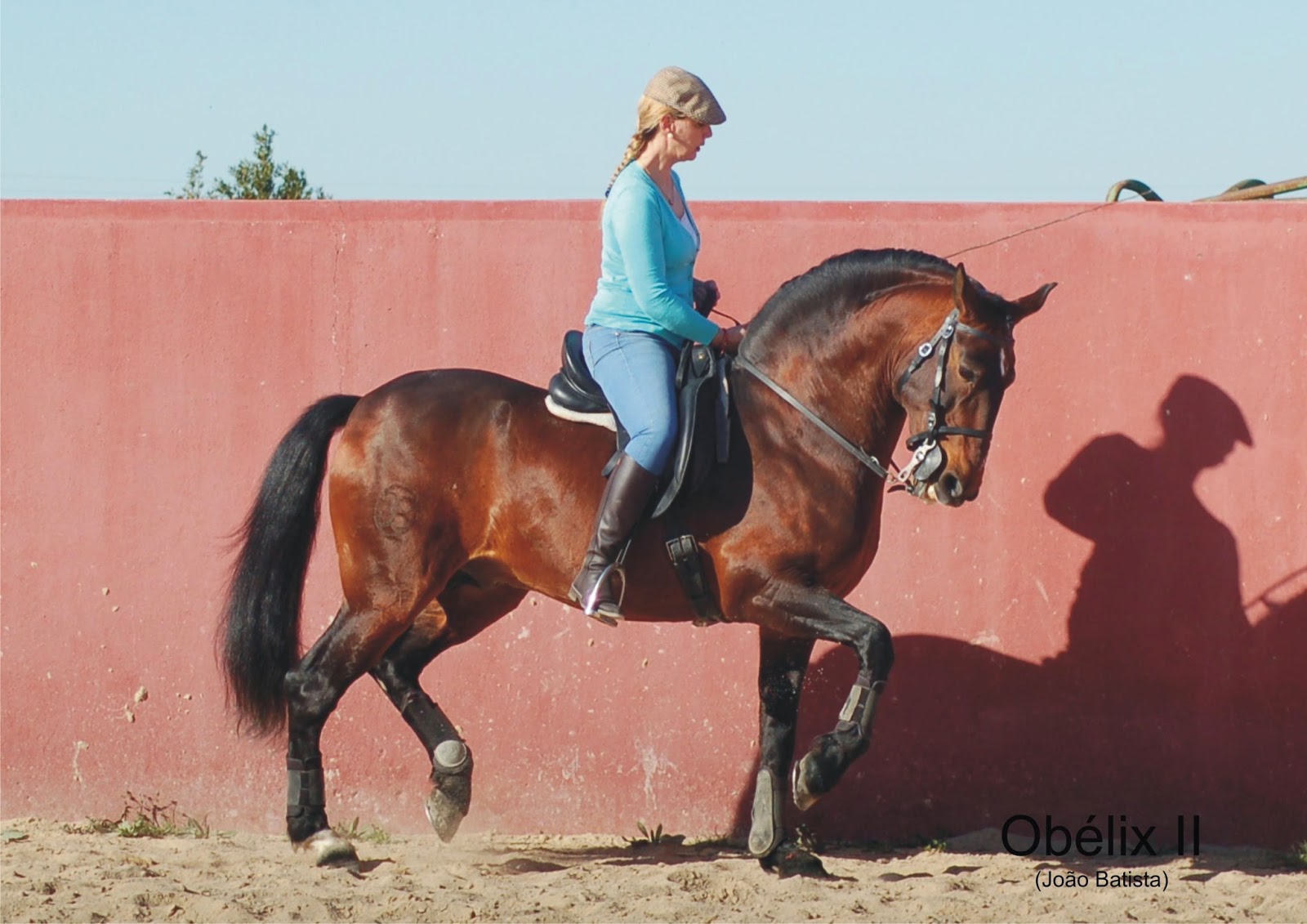 PLANETA DOS TOUROS - Para Aficionados: Ana Batista - Quadra para a ...