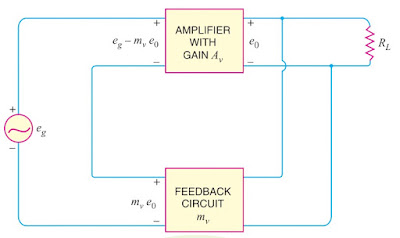 Totalecer: Properties of Negative Feedback: An Explanation