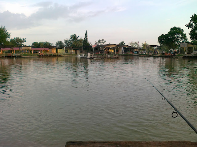PANCING BAWAL MAS KOLAM SG SEMBILANG