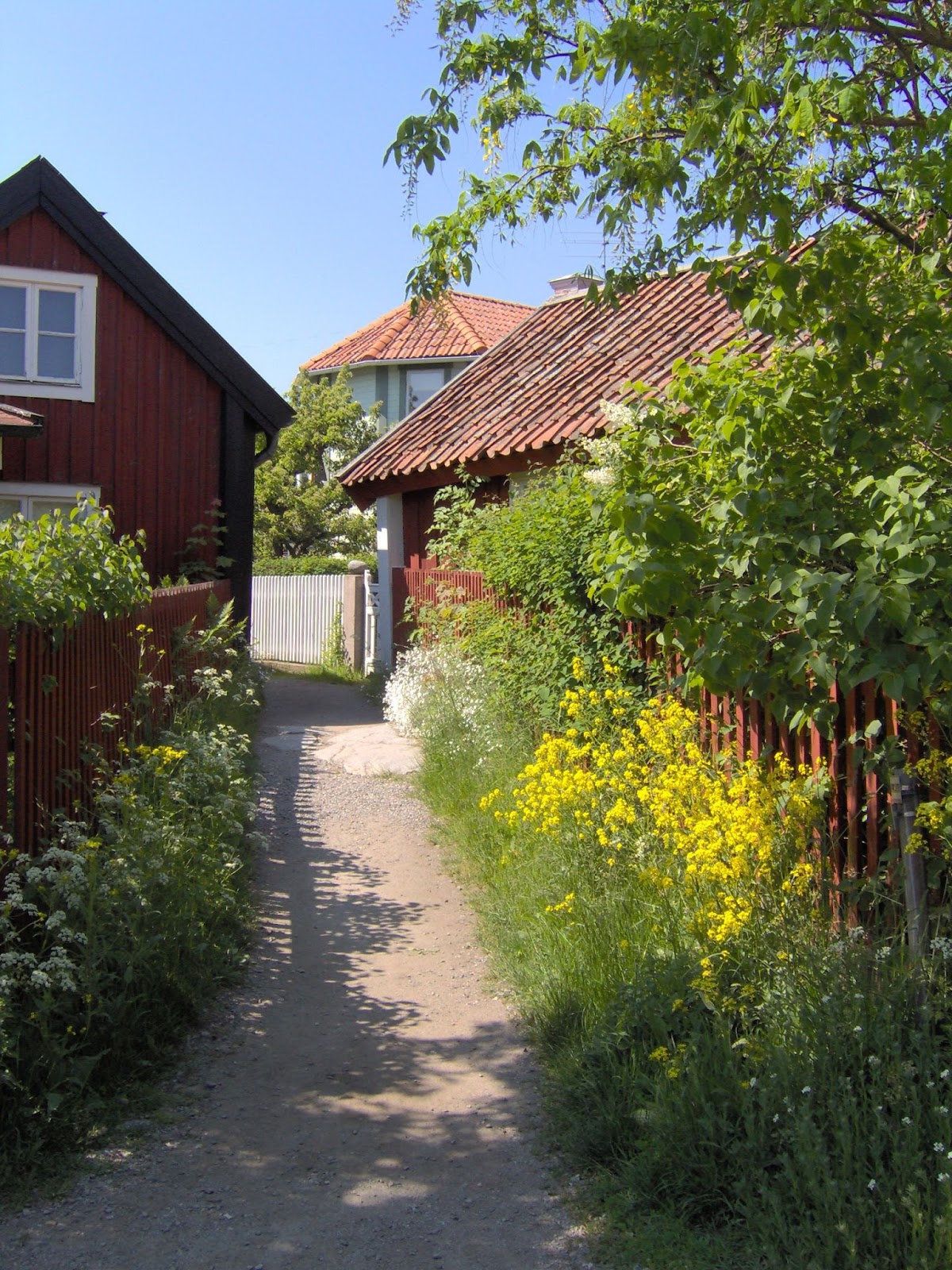 A Garden Carried in the Pocket: Viveca Sten's Sandhamn Series
