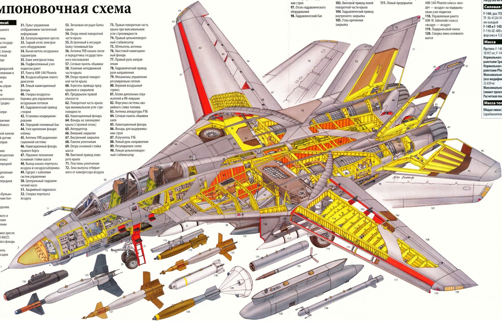 Sextant Blog: 83.) Grumman F-14D "Tomcat" ("Kandúr") cat - macska ...