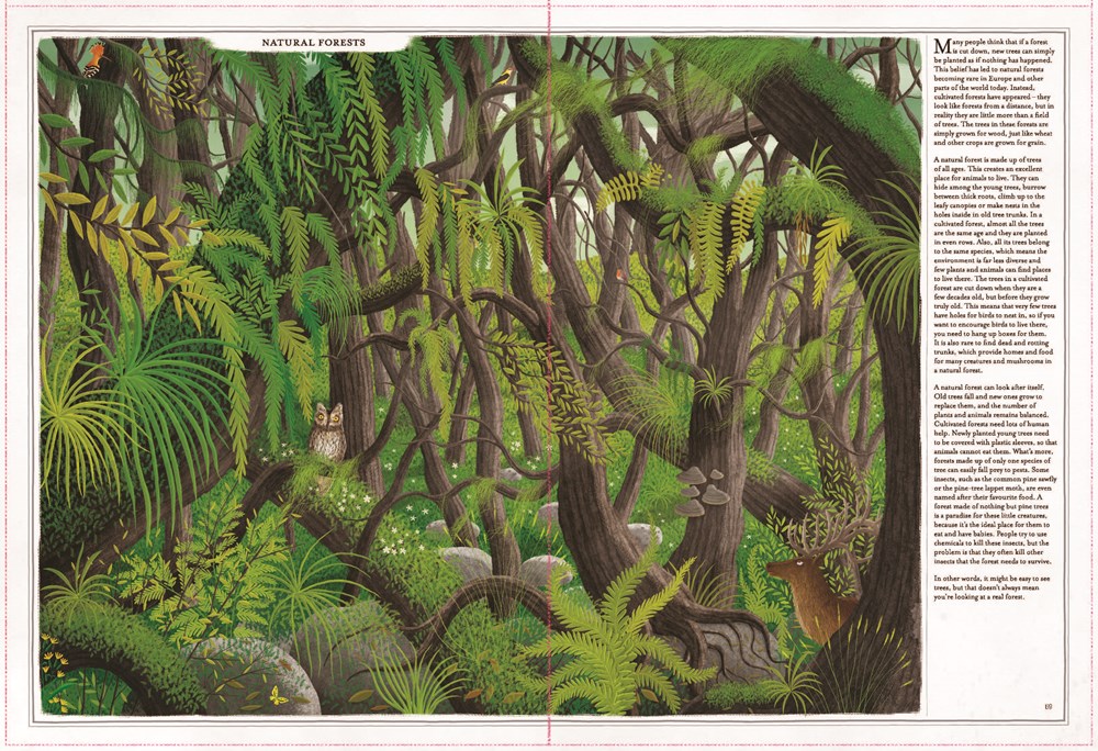 Let's Talk Picture Books: TREES: A ROOTED HISTORY