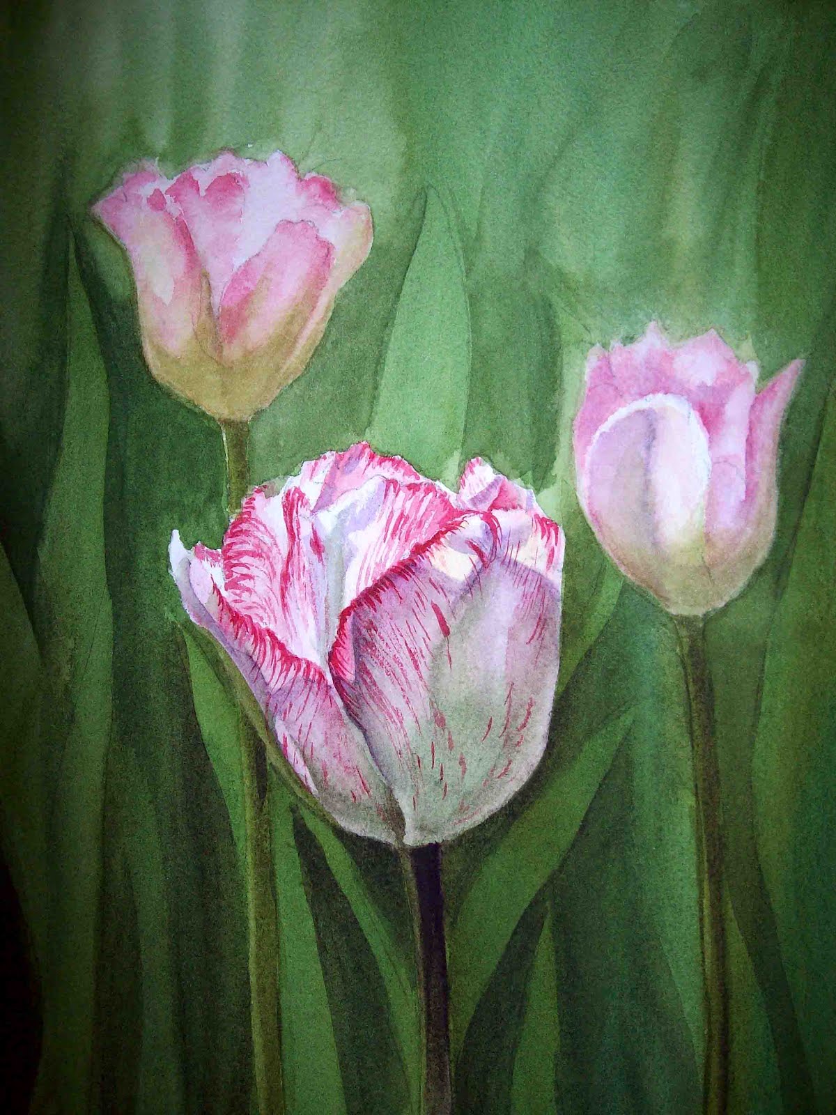 Irina Sztukowski - Fine Art: Tulips in The Fog