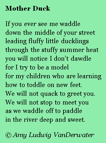 Duck Poems