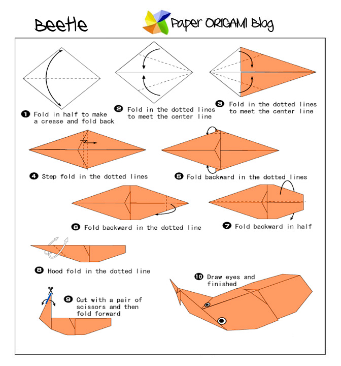 Bug Origami: Beetle | Paper Origami Guide