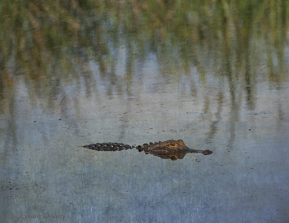 Photo-per-Diem-A Photography Blog: 2013