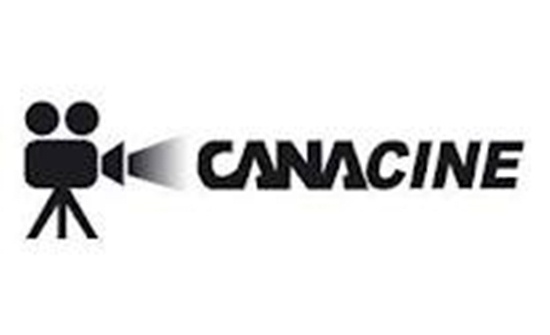 Los Amadores del Cine: Premios Canacine 2012, por la Cámara Nacional de ...