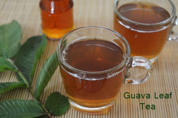 Guava leaves are used to treat and treatment diseases