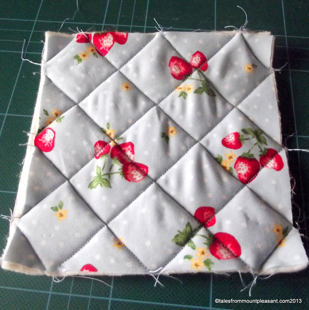 Tales from Mount Pleasant: Pretty pot holder tutorial