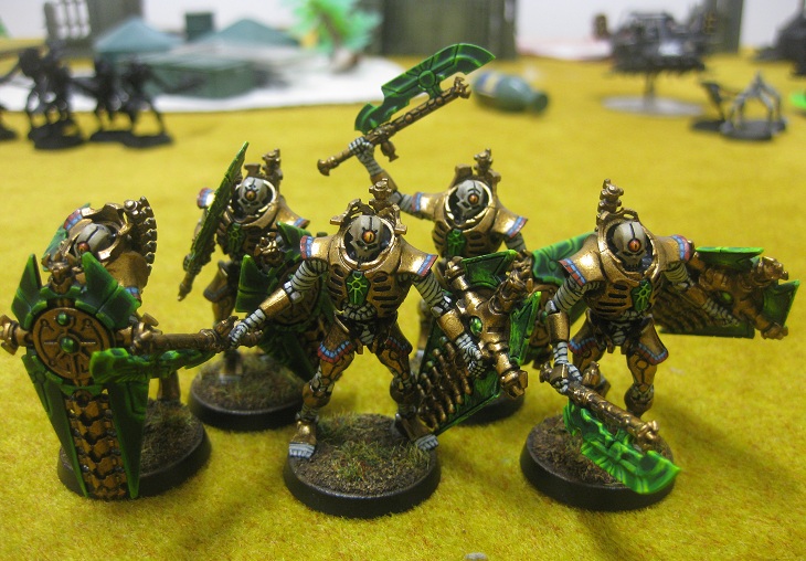 Lord AK's Skullthrone: Lychguard with Dispersion Shield : Completed