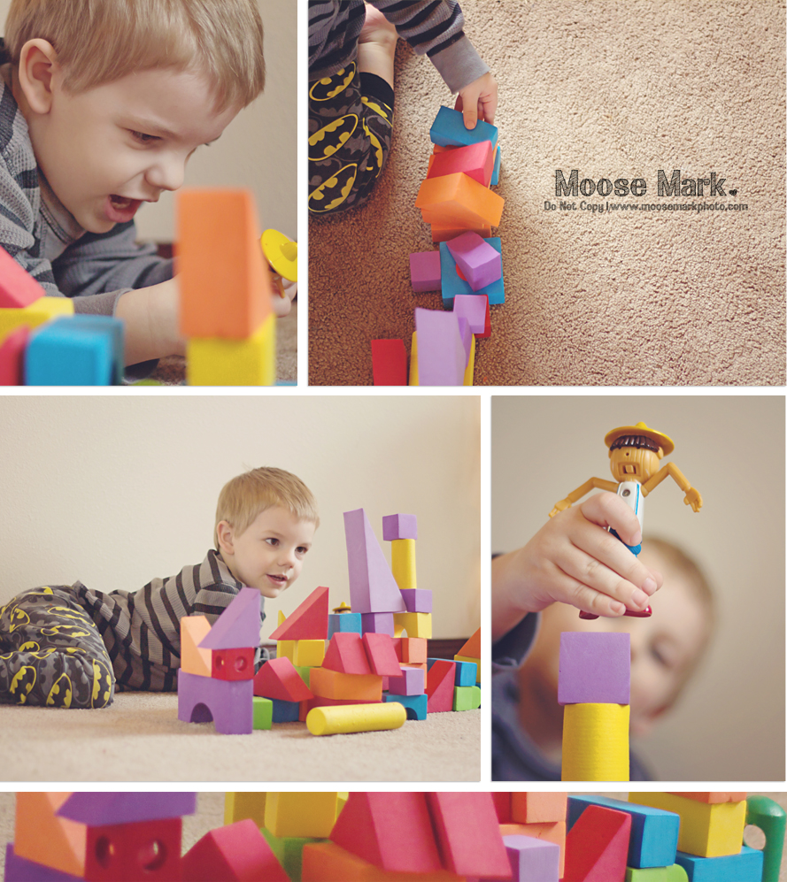 Moose Mark Photography