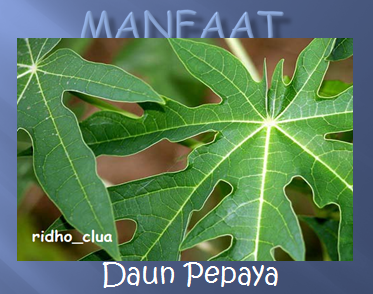 Semua Tentang Manfaat