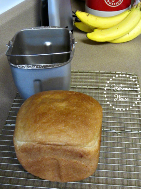 Hibiscus House: New Bread Machine: Zojirushi Mini Product Review