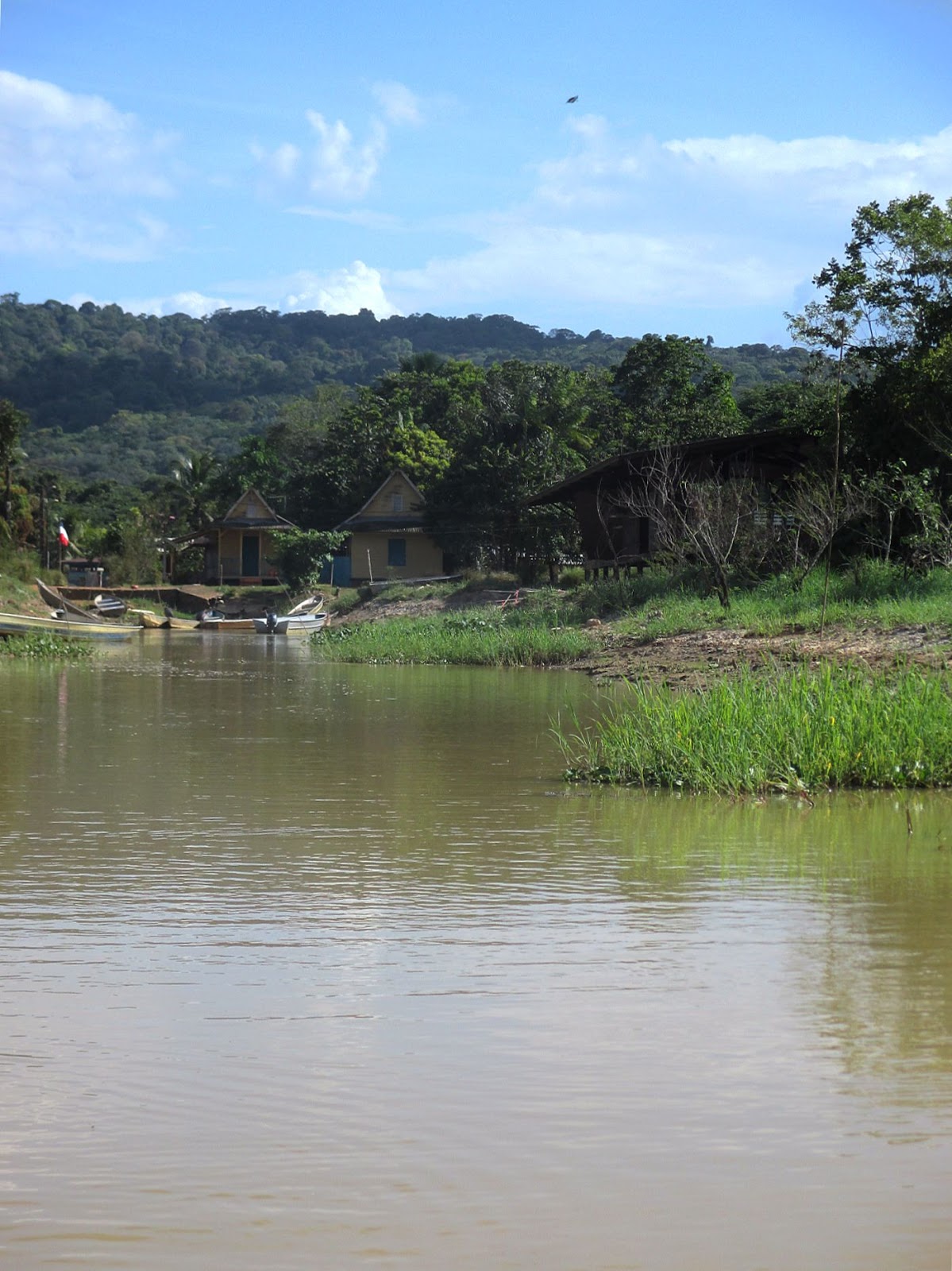 Guyane : Une visite au village de Kaw - Les rêveries d'Isisya
