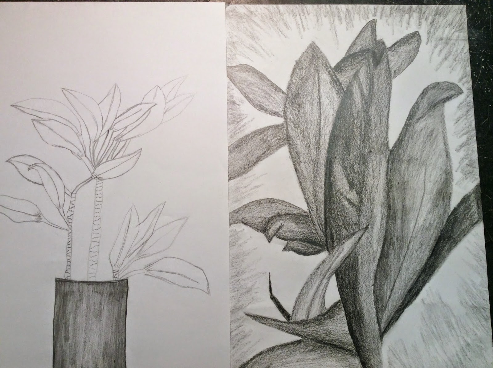 Neodesha High School Visual Arts: 8th Grade Drawing Improvement